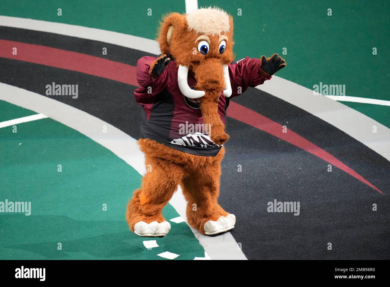 Colorado Mammoth mascot Wooly performs during the second half of Game 2 ...