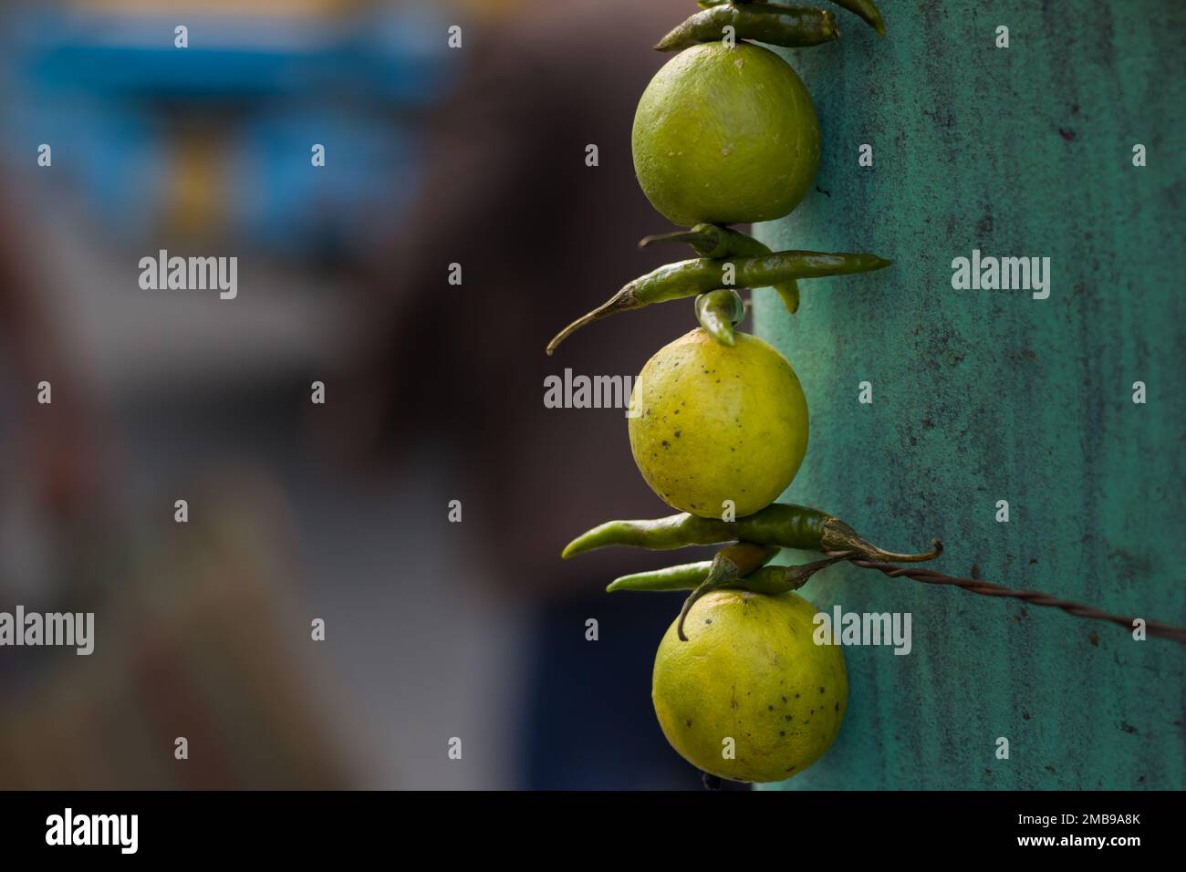 lemon and green chilli hanging at storefront to protect from evil eyes ...