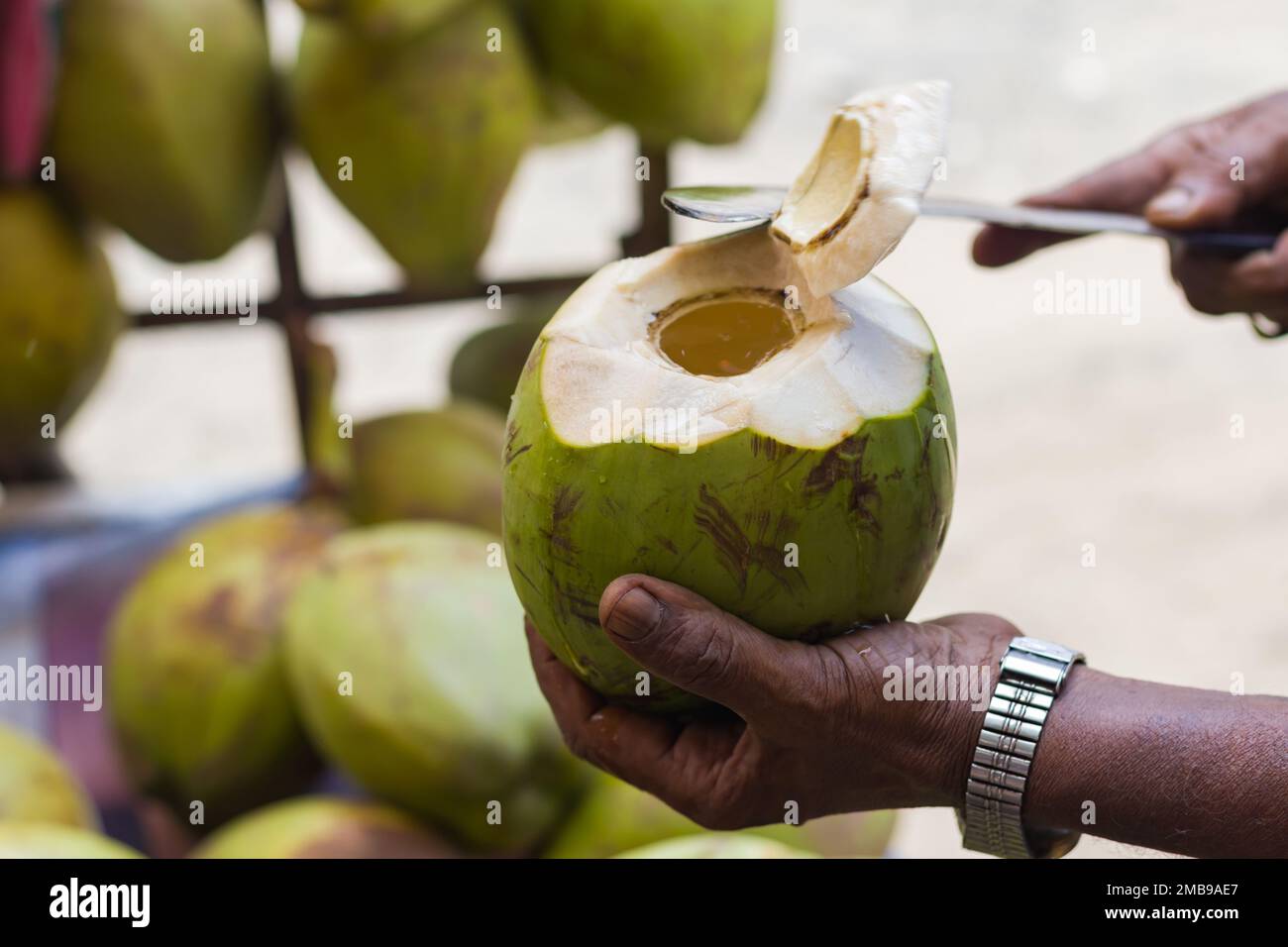tender coconut or green coconut water being sold as healthy refreshing ...