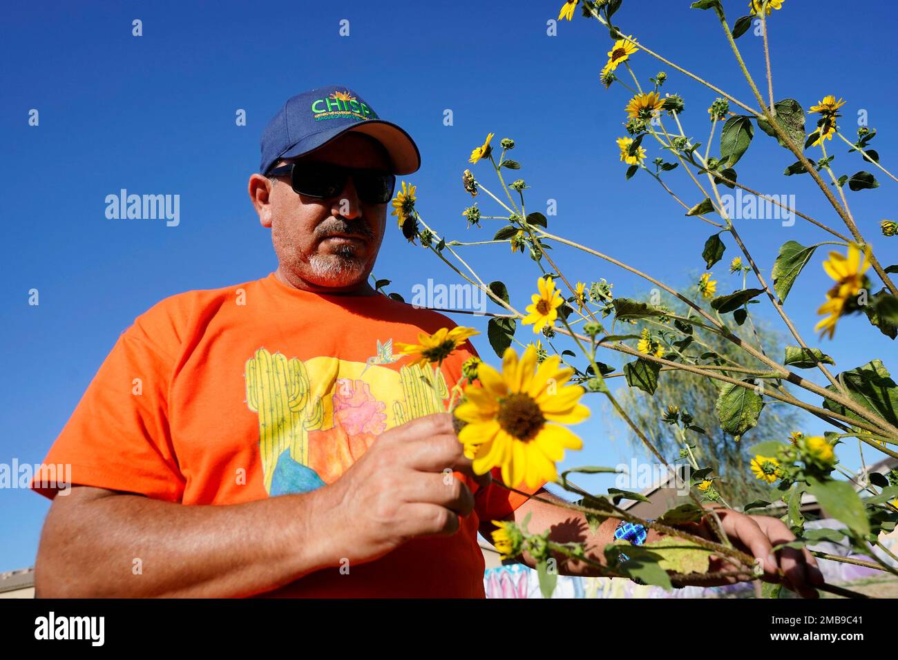 Masavi Perea, organizing director for Chispa Arizona, looks at flowers ...