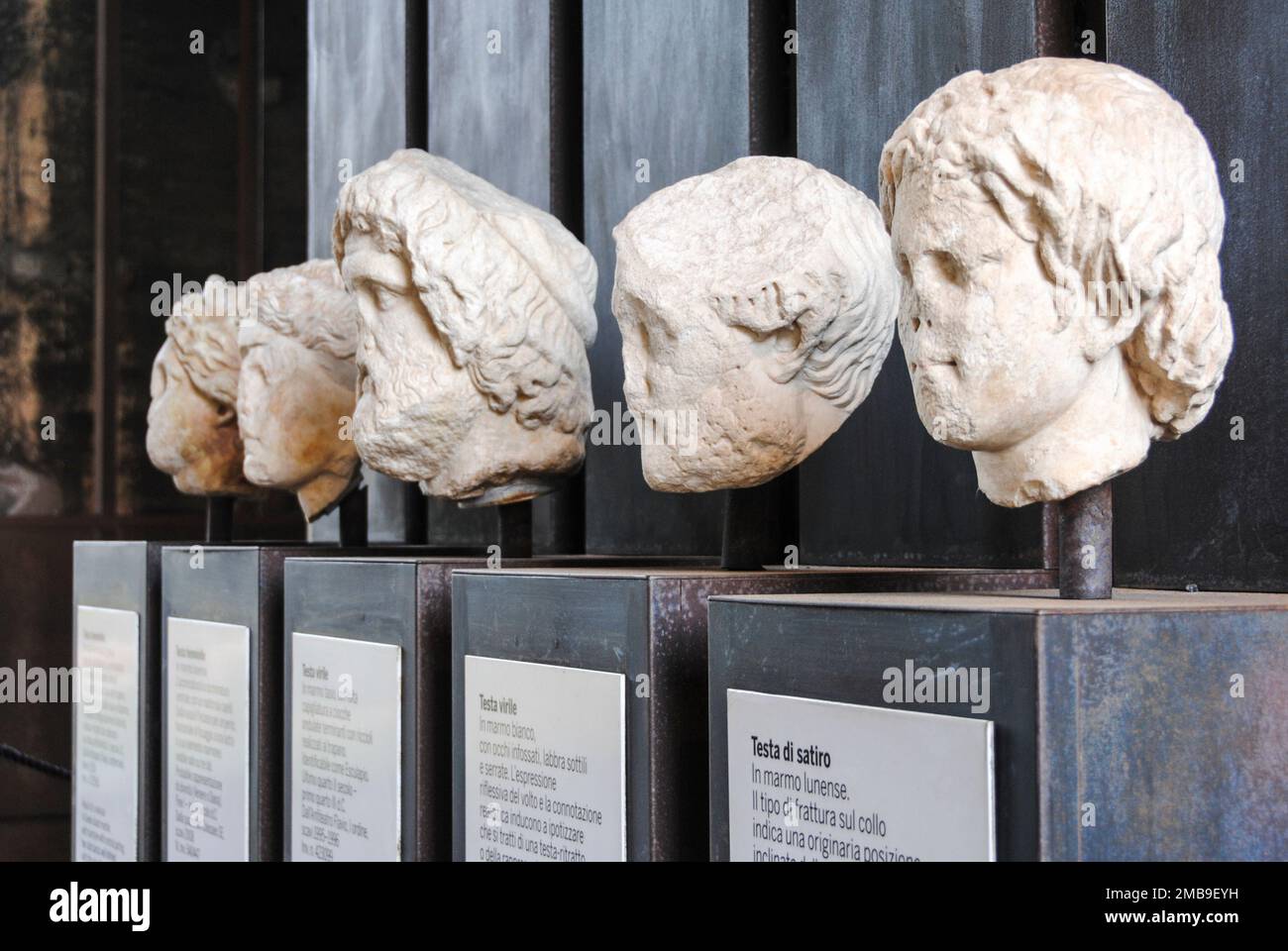 Ornamental busts inside the Colosseum in Rome, Italy Stock Photo - Alamy