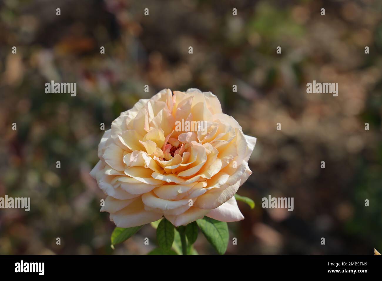 Beautiful photos of landscape Stock Photo - Alamy