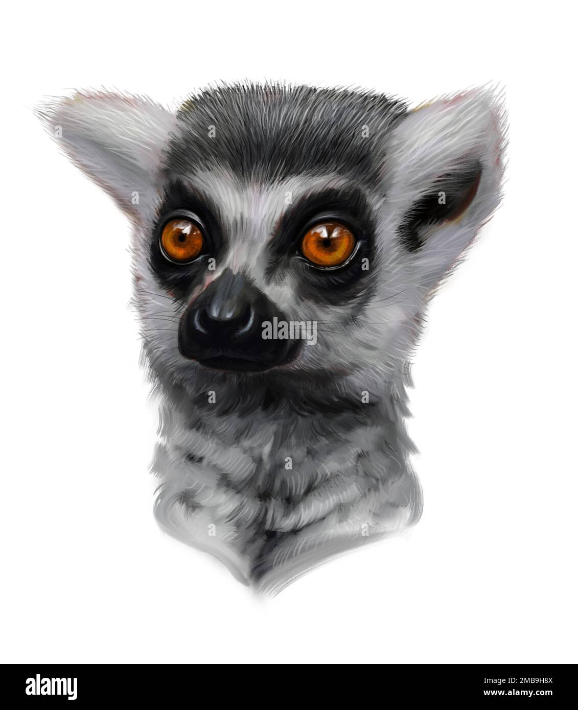 Lemur Face Drawing