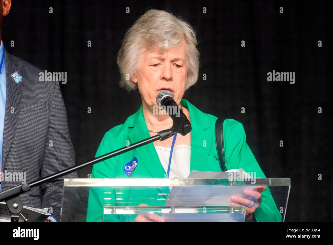 Democratic National Committeewoman Carol Fowler addresses the South ...