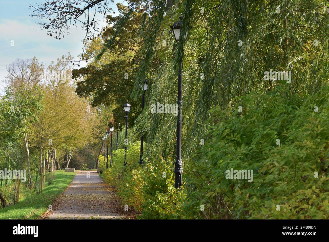 Autumn alley with old-fashioned lanterns in autumn colors on a slightly ...
