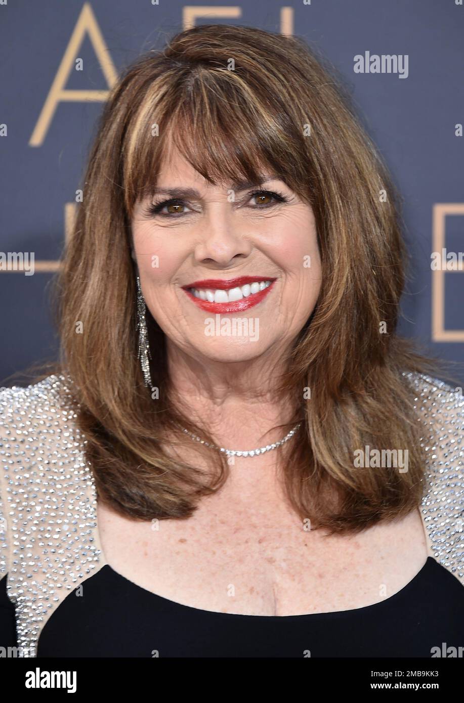 Debbie Turner arrives at the 48th AFI Life Achievement Award Honoring ...