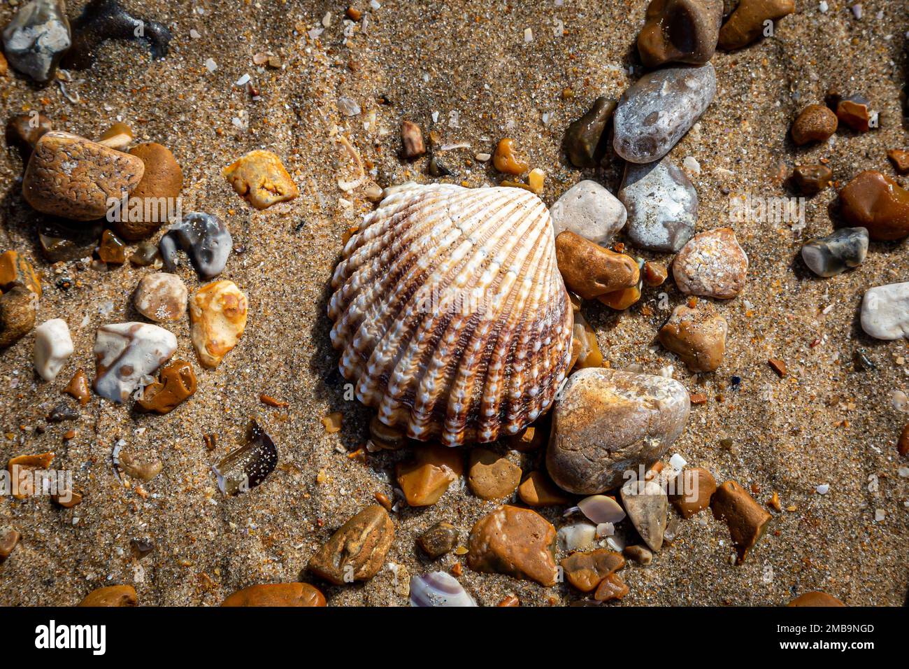 High angle camber hi-res stock photography and images - Alamy