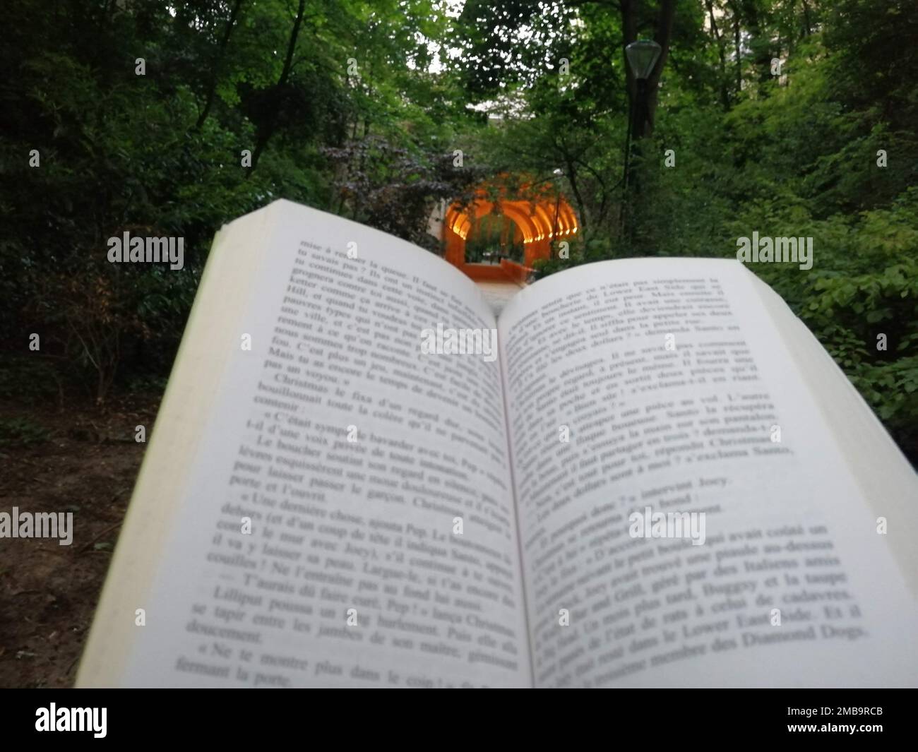 a closeup of an open book in a green park Stock Photo - Alamy