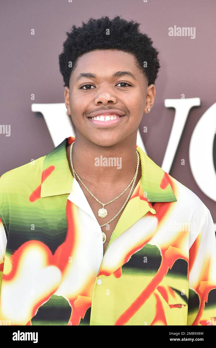 Cedric Joe attends a special screening of "Women of the Movement" on ...