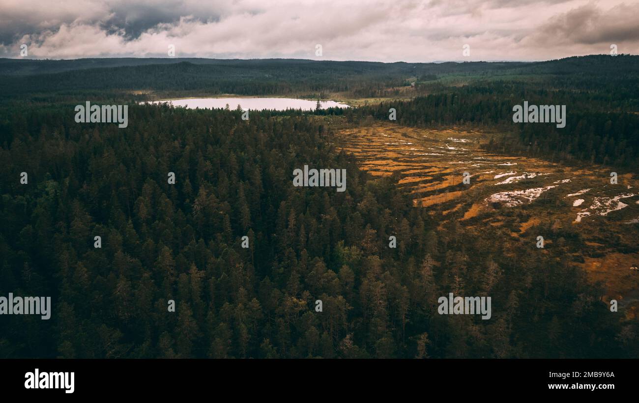 Sweden fields hi-res stock photography and images - Alamy