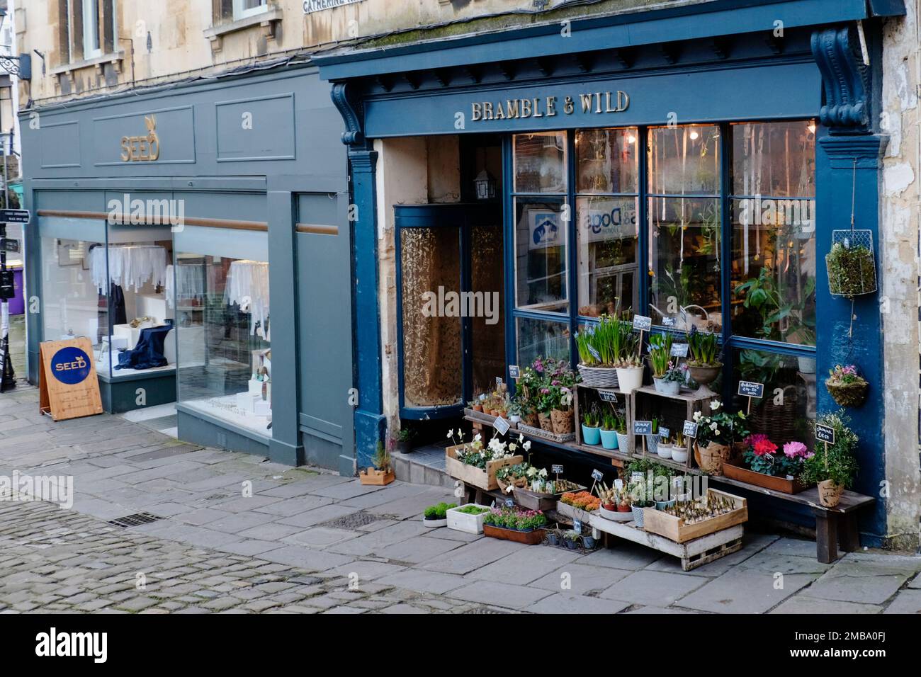 Around Frome an attractive somerset town. Bramble wild on Catherine ...