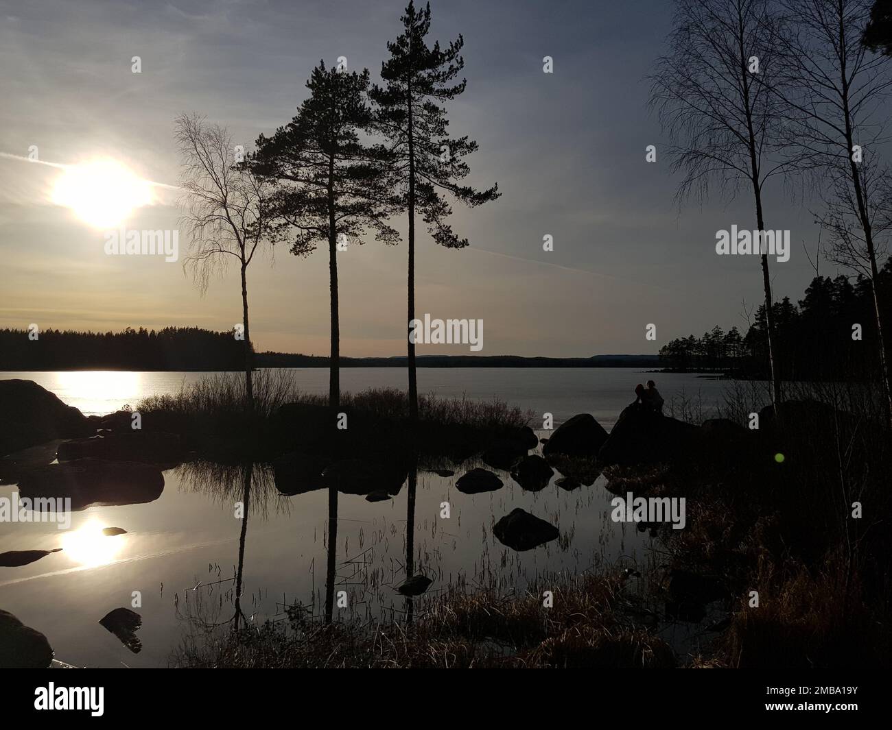 A scenic view of a reflective lake with pine trees on the shoreline at ...