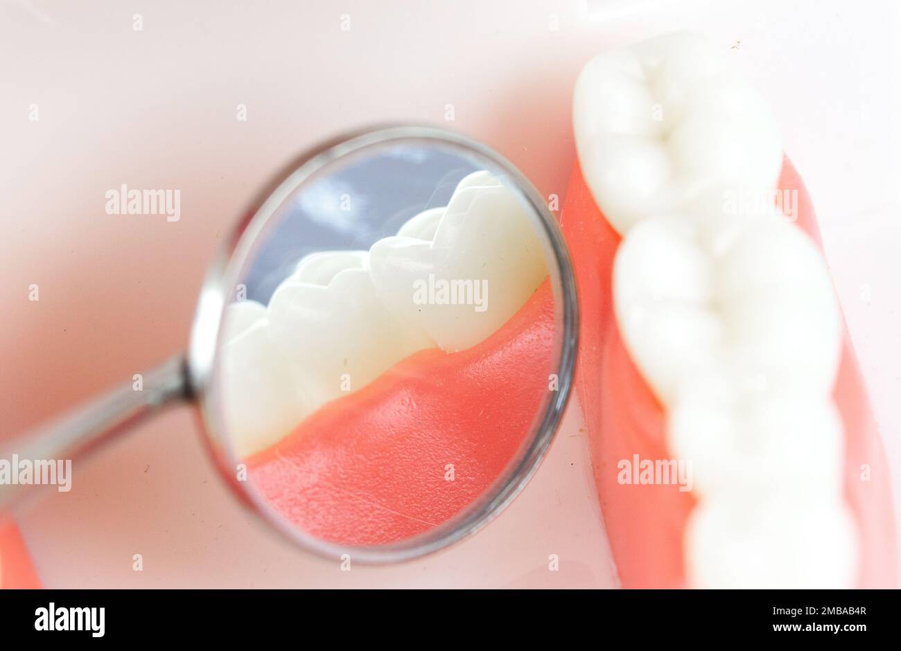 False teeth, jaws. Dentistry instruments and dental hygienist checkup ...