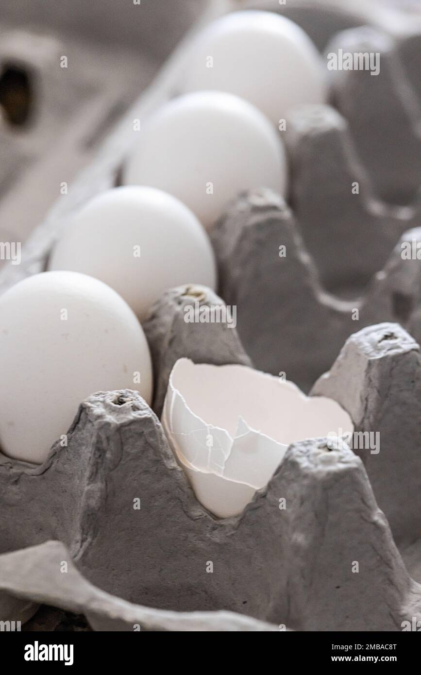 Carton of White Chicken Eggs and Egg Shells Stock Photo - Alamy