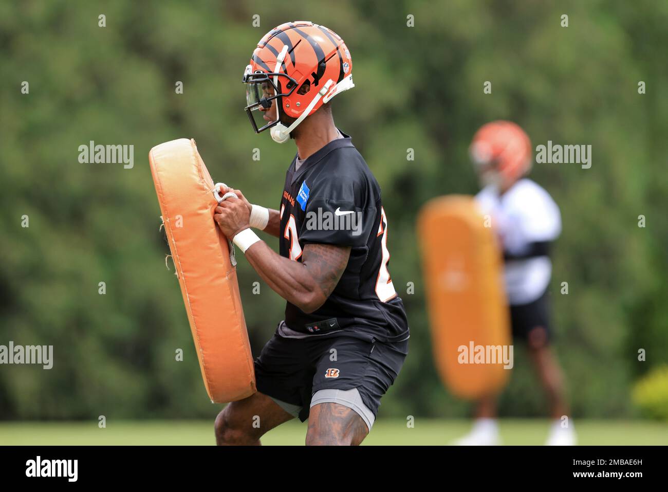 Cincinnati Bengals' Dax Hill participates in a drill during an NFL ...