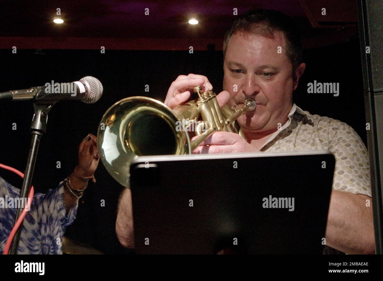 Danny Marsden, Louise Clare Marshall’s Seriously Mendes, Verdict Jazz ...