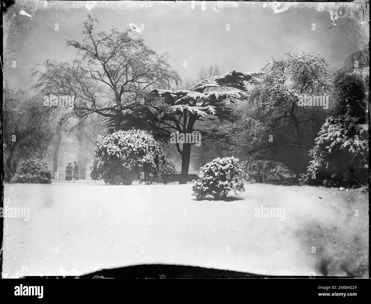Kensington Gardens, Hyde Park, City of Westminster, Greater London ...