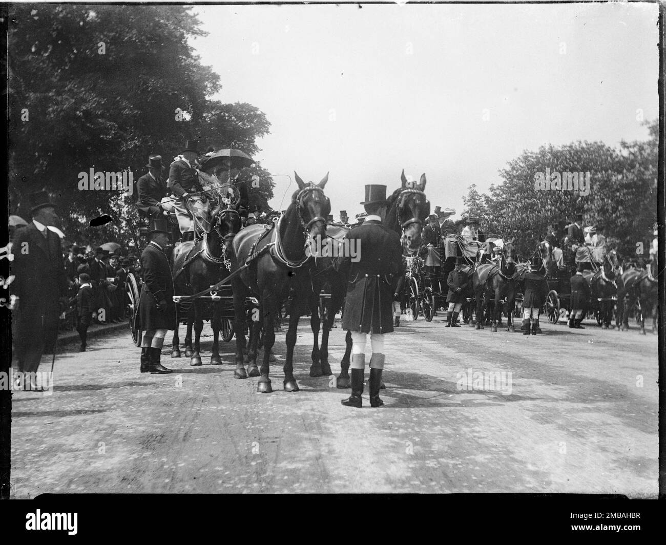 Hyde Park, City of Westminster, Greater London Authority, 1905. Horse ...