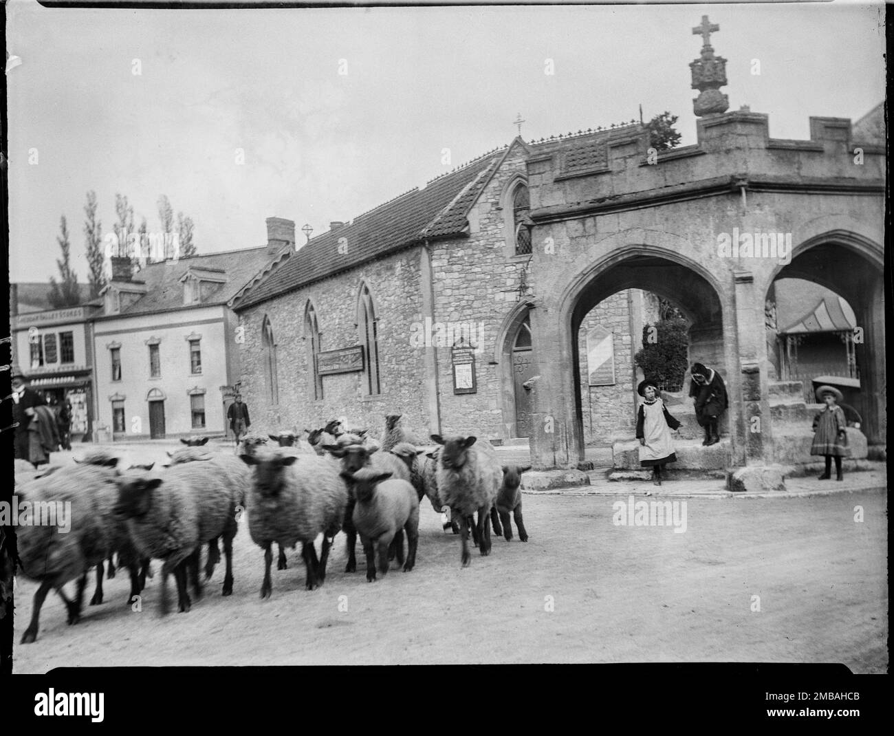 Market Cross, Cheddar, Sedgemoor, Somerset, 1907. Sheep being herded ...
