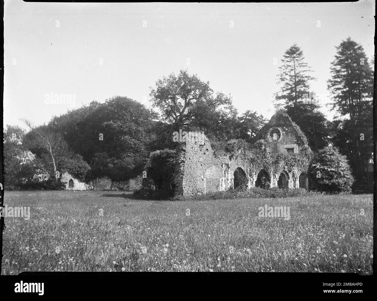 Waverley Abbey, Farnham, Waverley, Surrey, 1909. A view of the lay ...