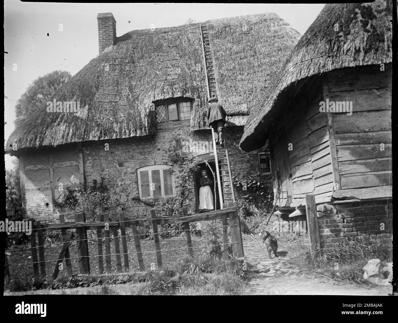 Wootton Rivers, Wiltshire, 1923. A thatcher working on the roof of an ...