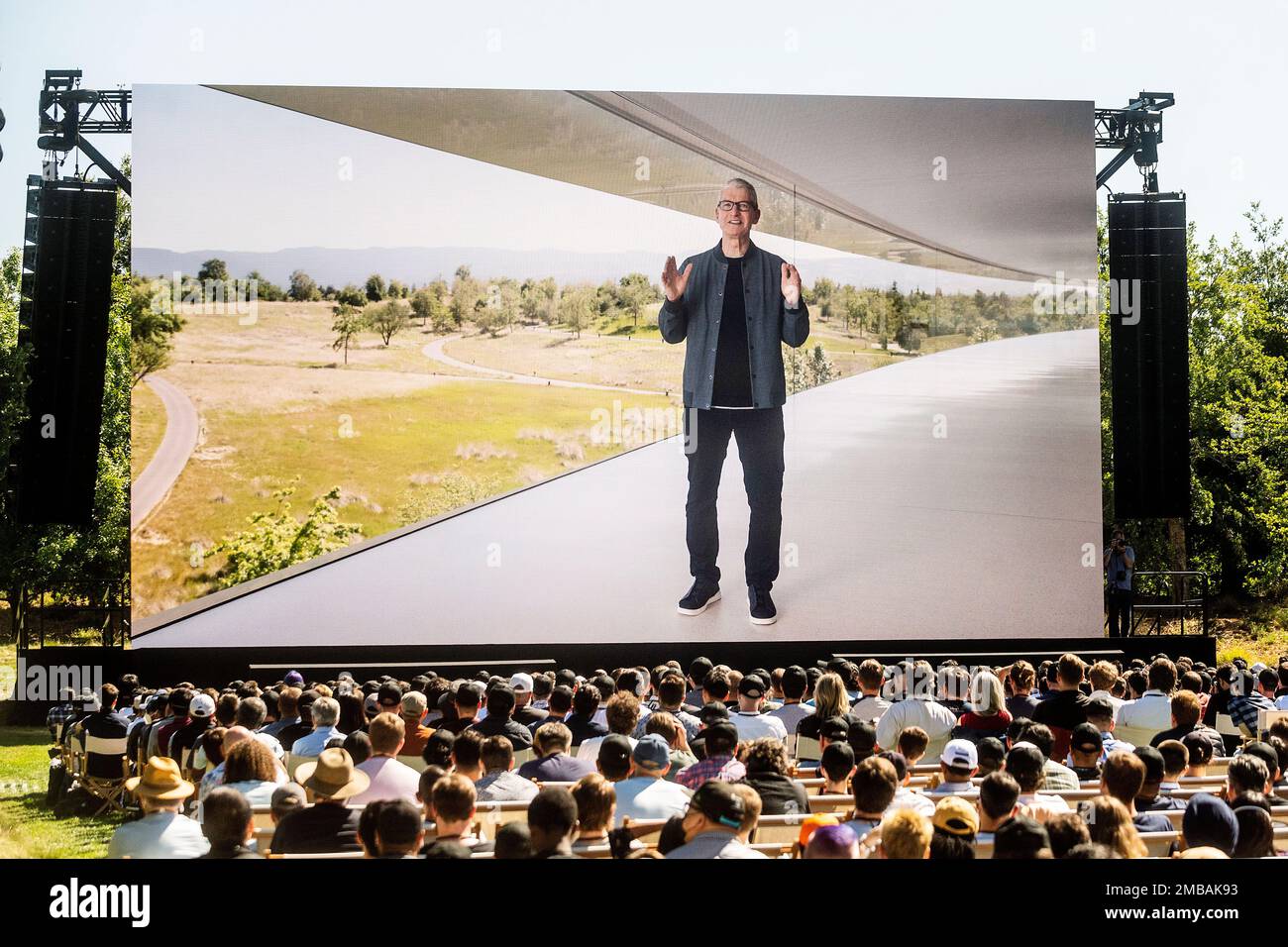 Apple Ceo 2022