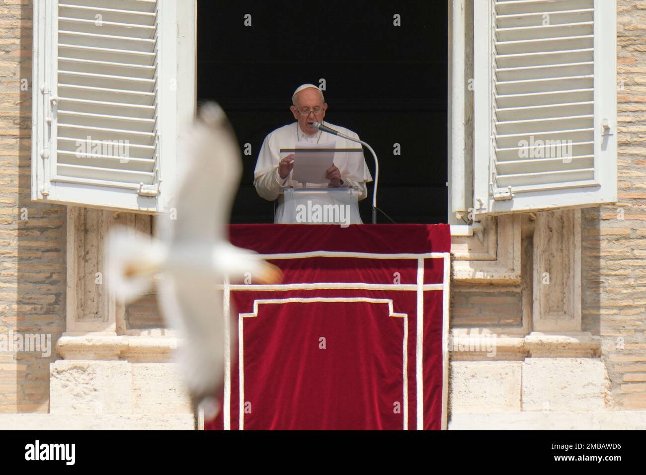 A seagull flies as Pope Francis delivers his speech during the Regina ...