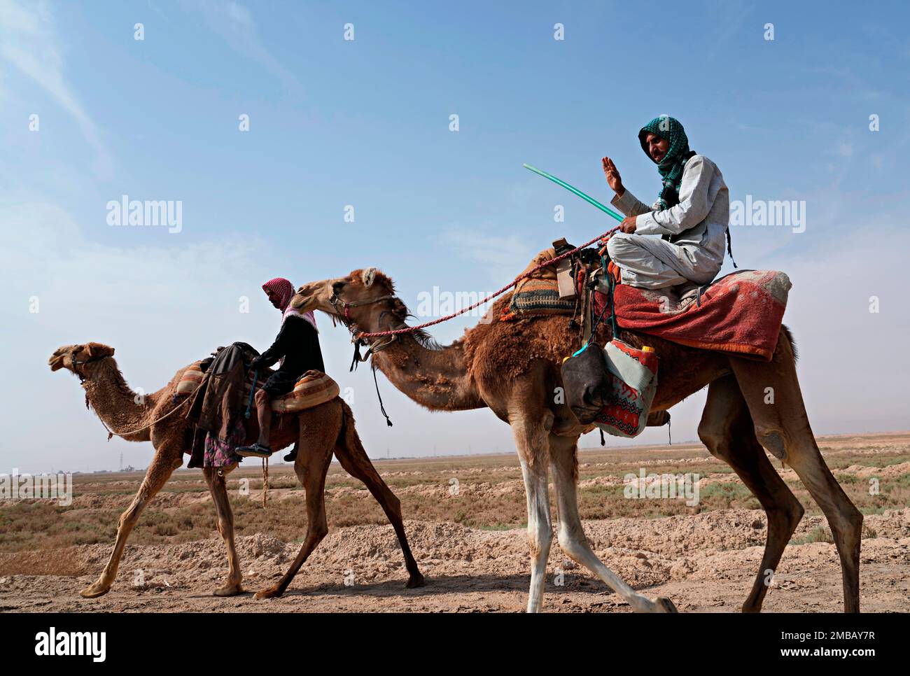 Camel herders lead the way for the camels in al-Samawa, Iraq, Saturday ...