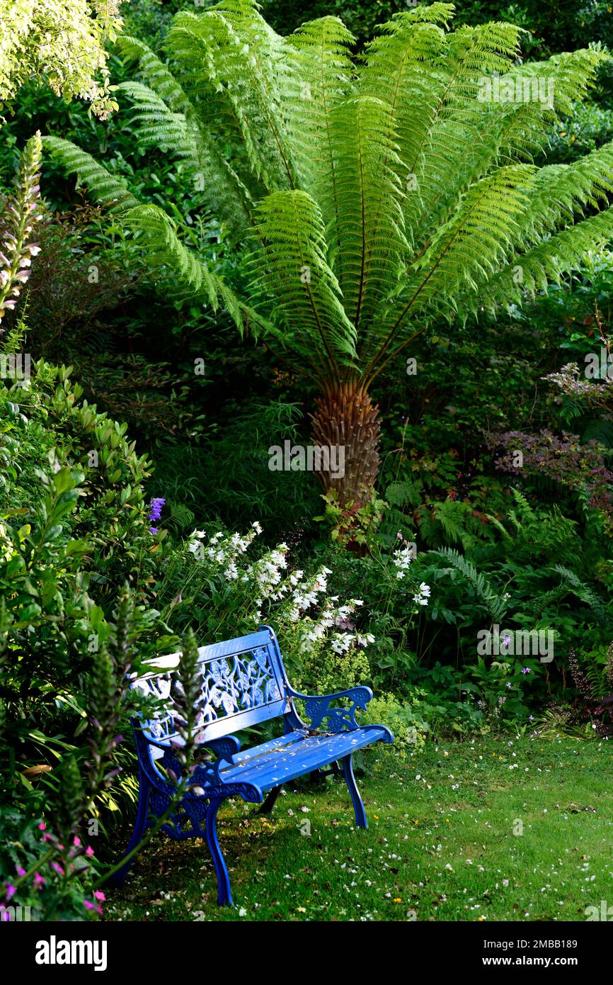 blue wrought iron bench,blue wrought iron seat,seating,Dicksonia ...