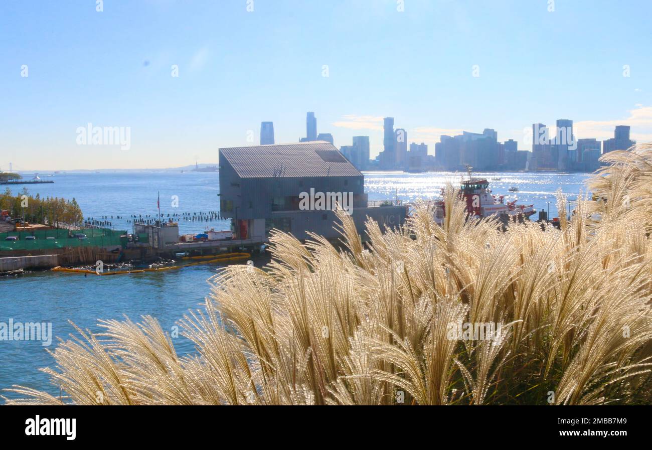 The Montrose Point Bird Sanctuary on Lake Michigan, Manhattan cityscape ...
