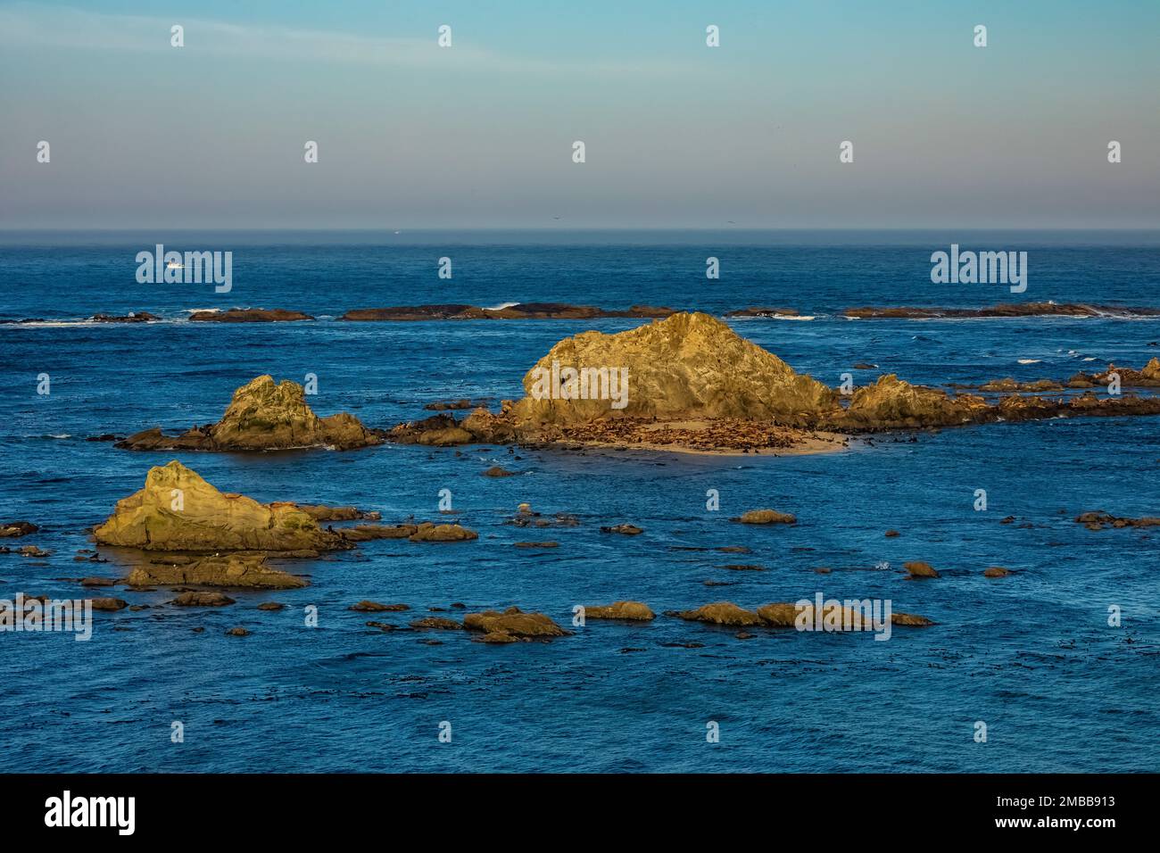 Haulout of California and Steller Sea Lions, and Northern Elephant ...