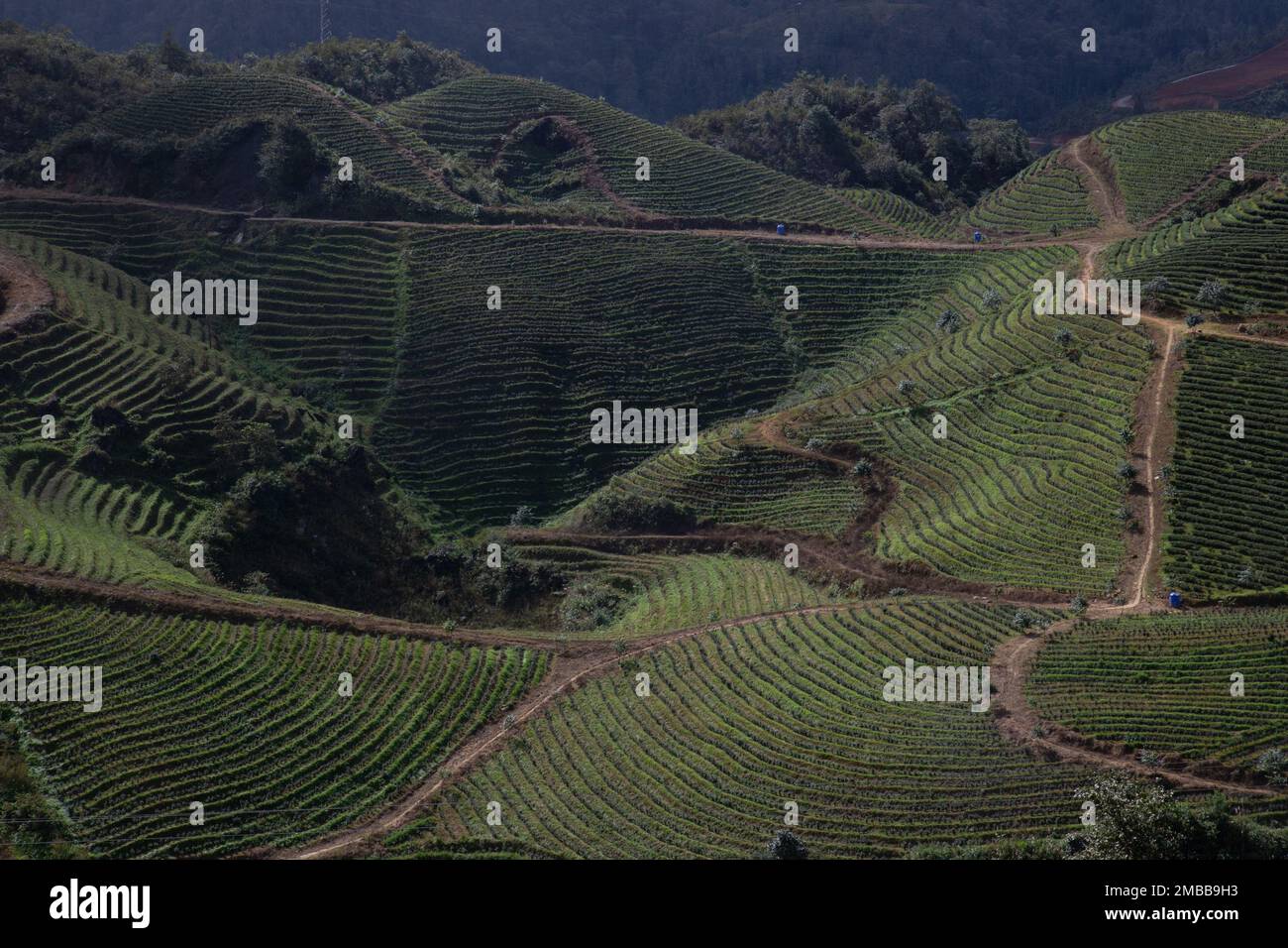 Sa Pa Vietnam - Hills in Sa Pa Vietnam Stock Photo - Alamy