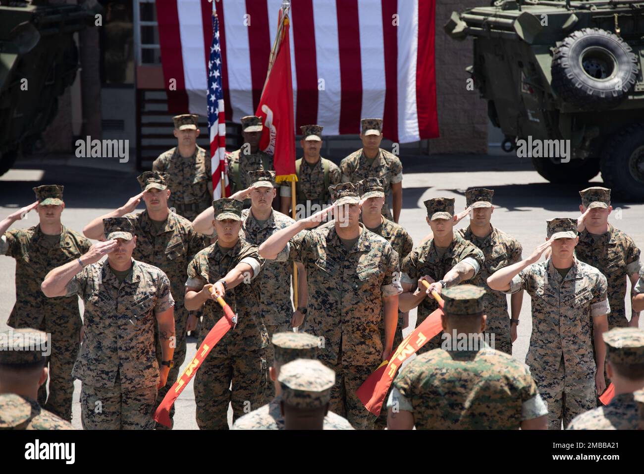 U.S. Marines with 1st Light Armored Reconnaissance Battalion, 1st Marine Division salute the ...