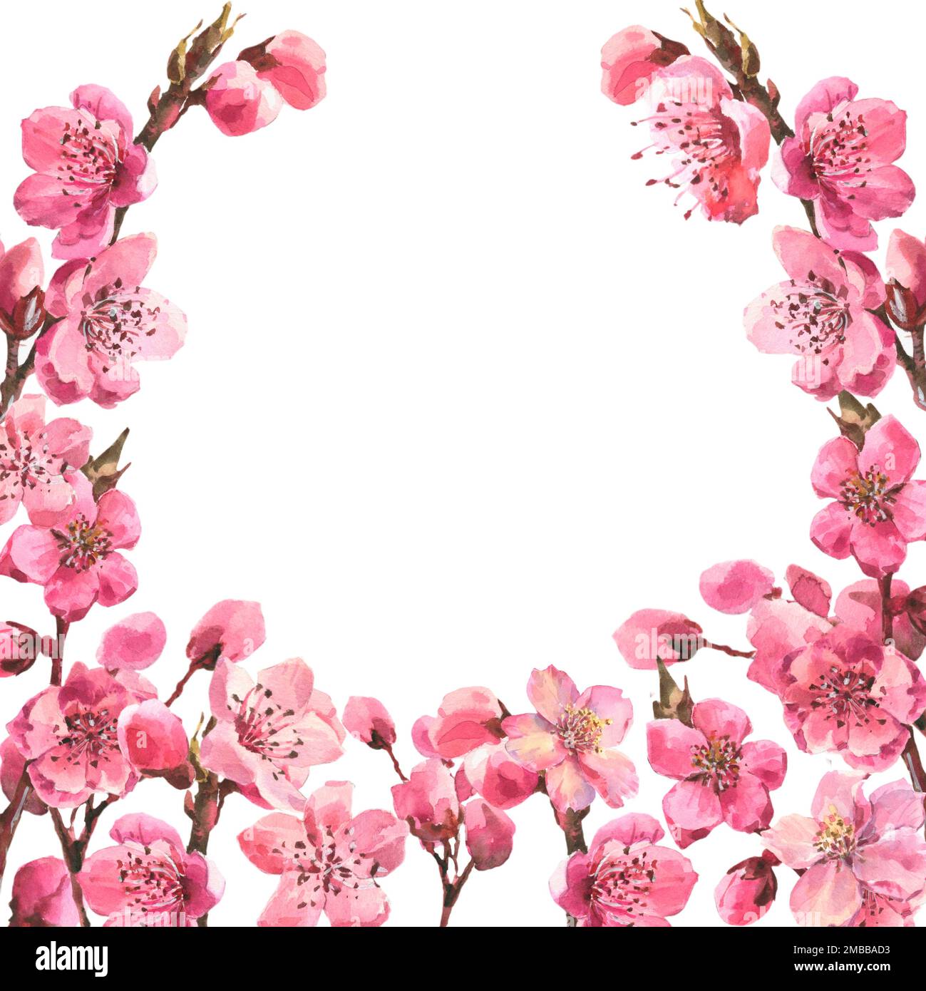 Watercolor branches of pink sakura, template with empty place for you ...