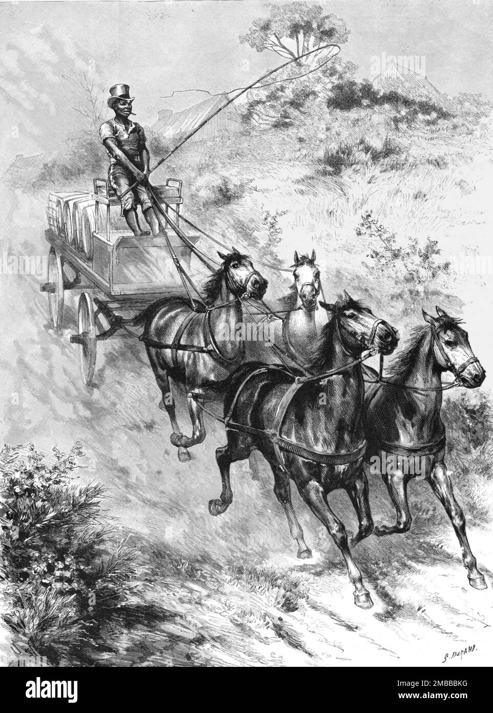 Donkey and driver Black and White Stock Photos & Images - Alamy