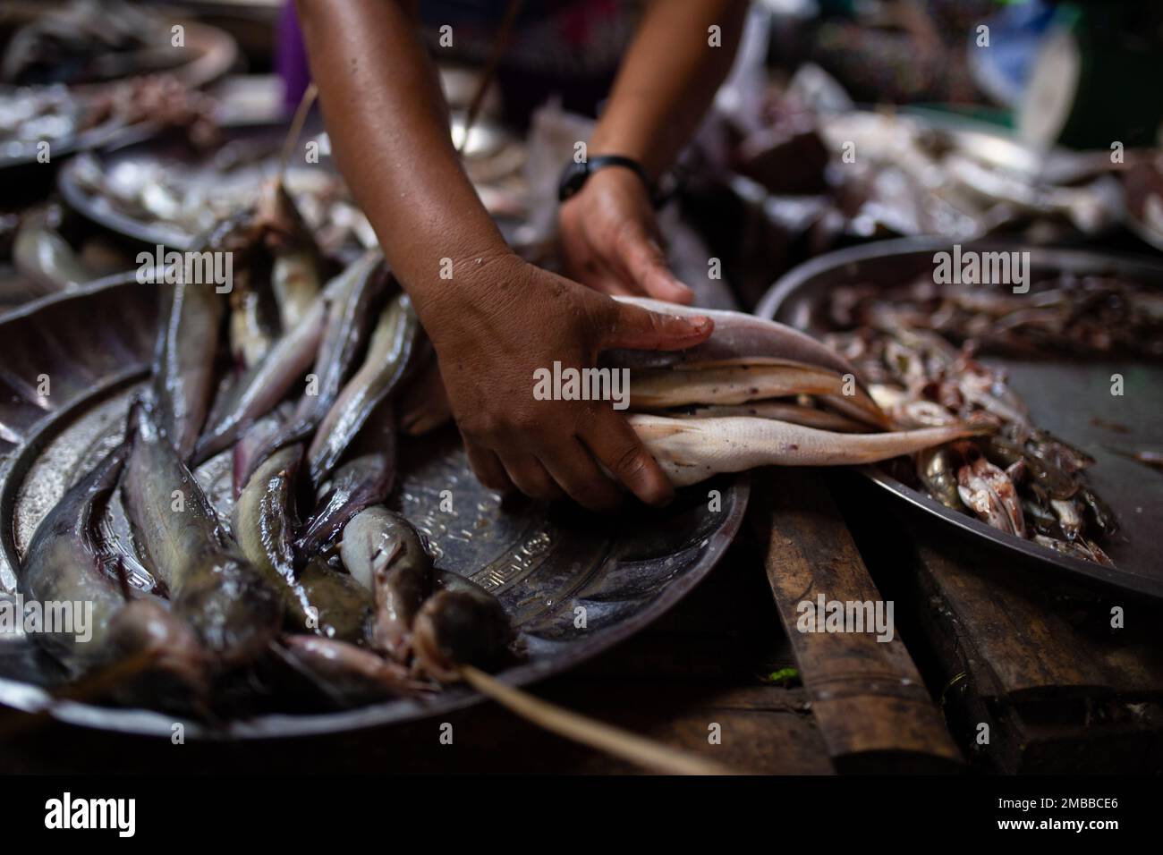 Hand grabbing fish hi-res stock photography and images - Alamy