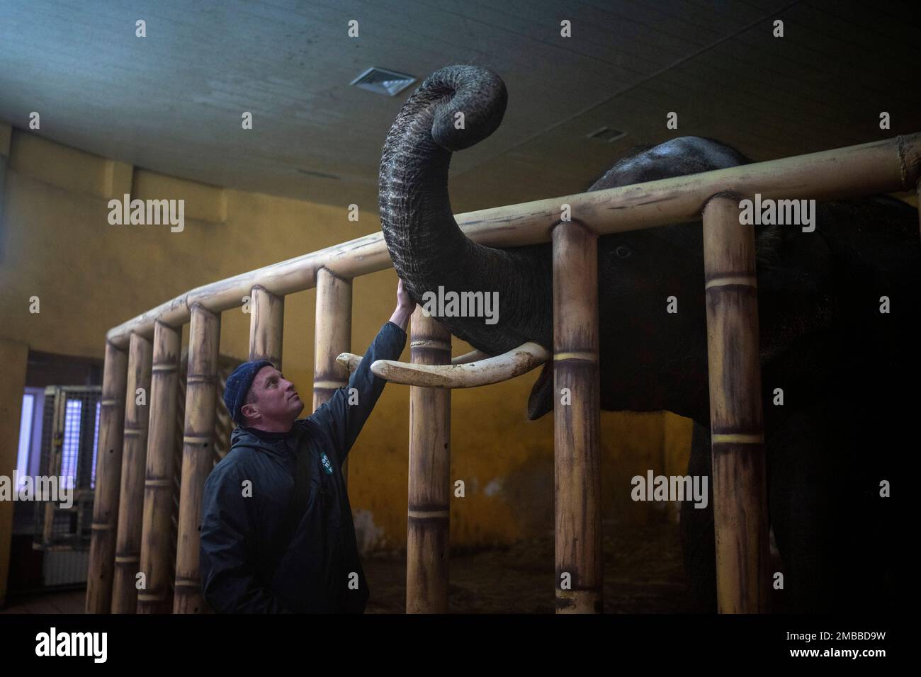 Animal keeper Kirilo Trantin comforts an elephant at the Kiev Zoo in ...