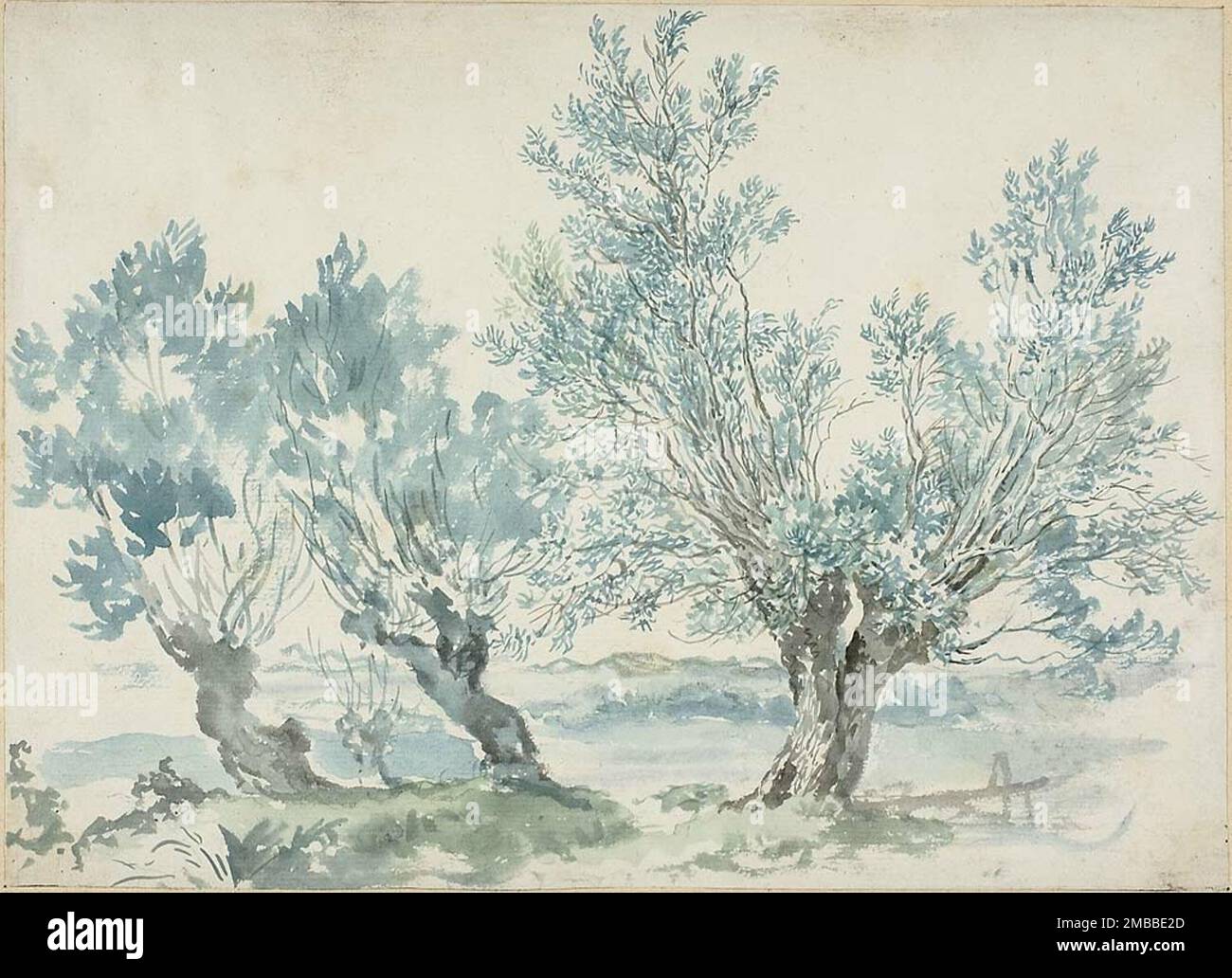 Three Willow Trees, n.d Stock Photo - Alamy