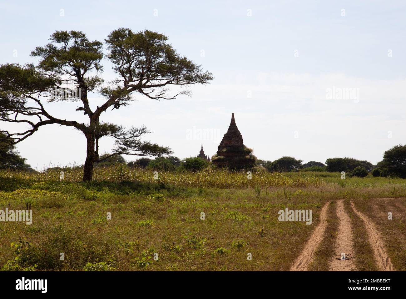 Old bagan national park hi-res stock photography and images - Alamy