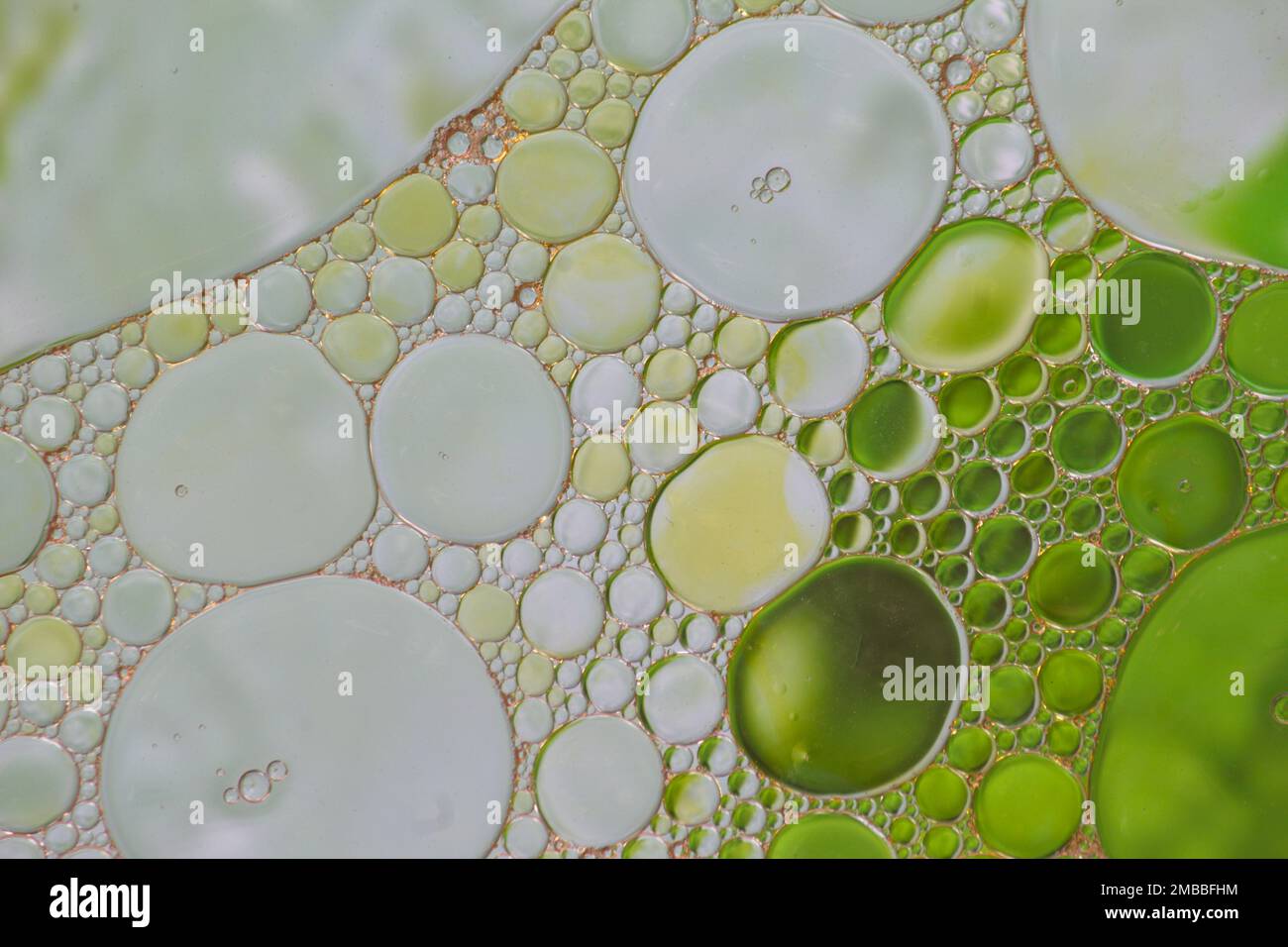 Liquid bubbles , macro bubbles in various colors, abstract backgrounds ...