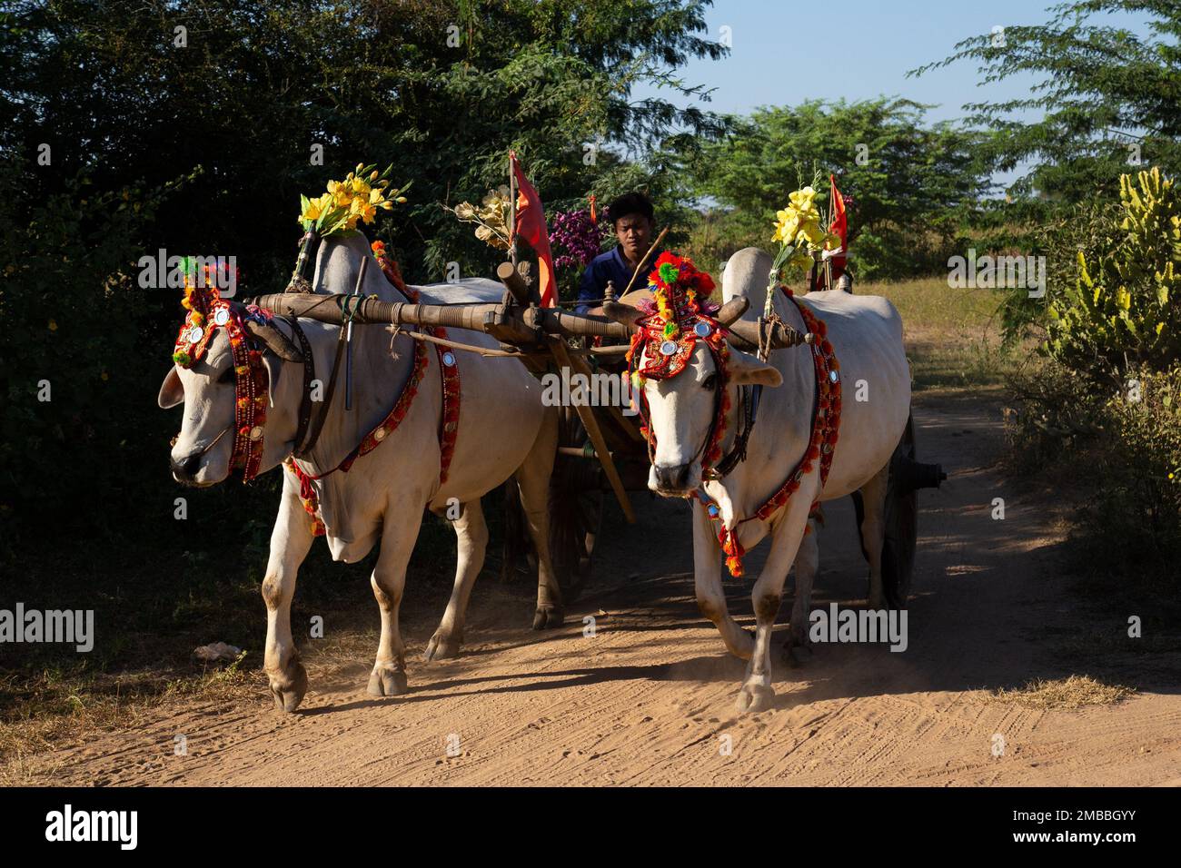 Myanmar traditional hi-res stock photography and images - Alamy