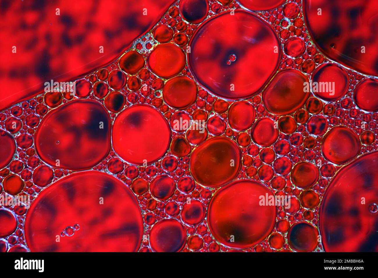 Liquid bubbles , macro bubbles in various colors, abstract backgrounds ...