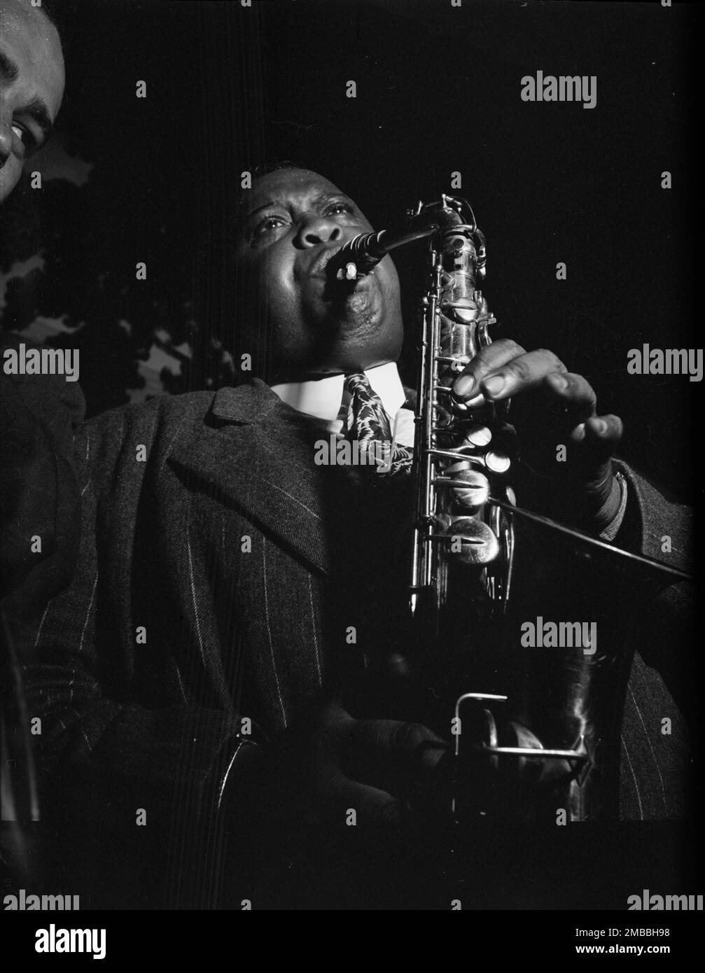 Golden brown back Black and White Stock Photos & Images - Alamy