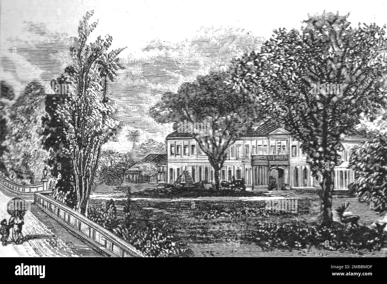 Catherine de soysa hi-res stock photography and images - Alamy