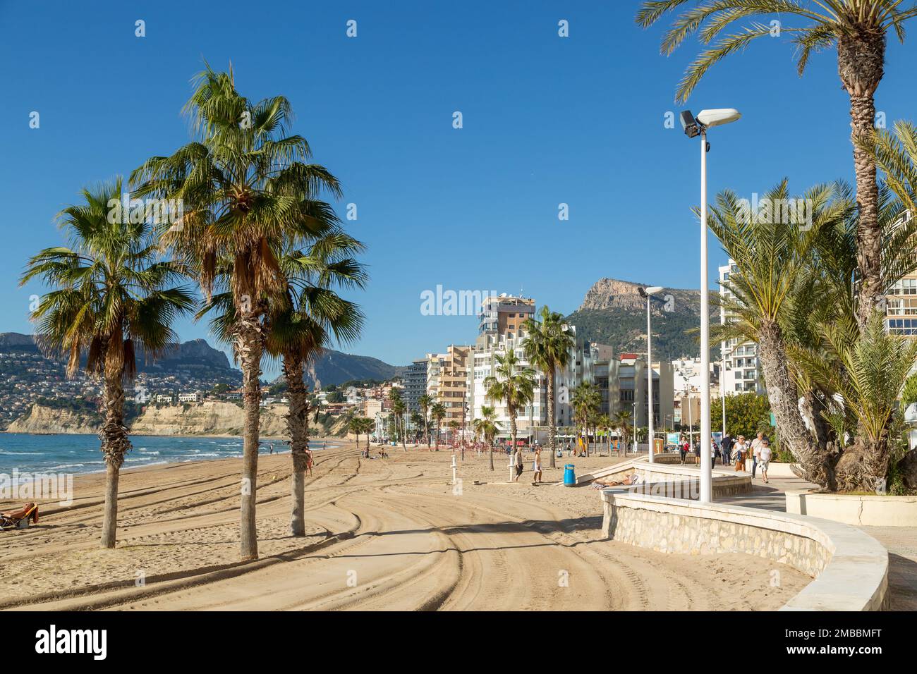 The beach with palm trees in Calpe, Alicante ,Spain Stock Photo - Alamy