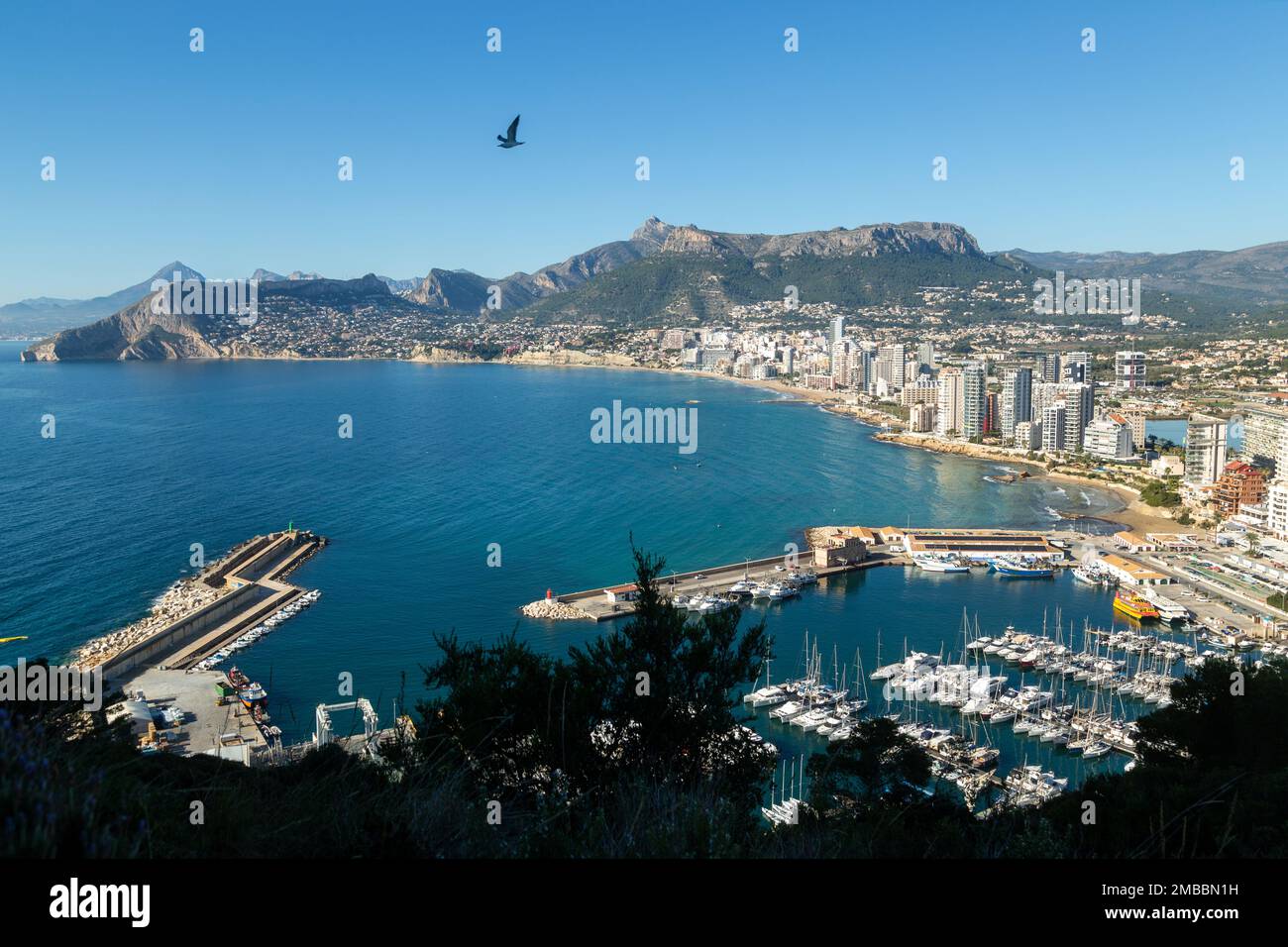 The beautiful town of Calpe and it's harbour with the hill Sierra de ...