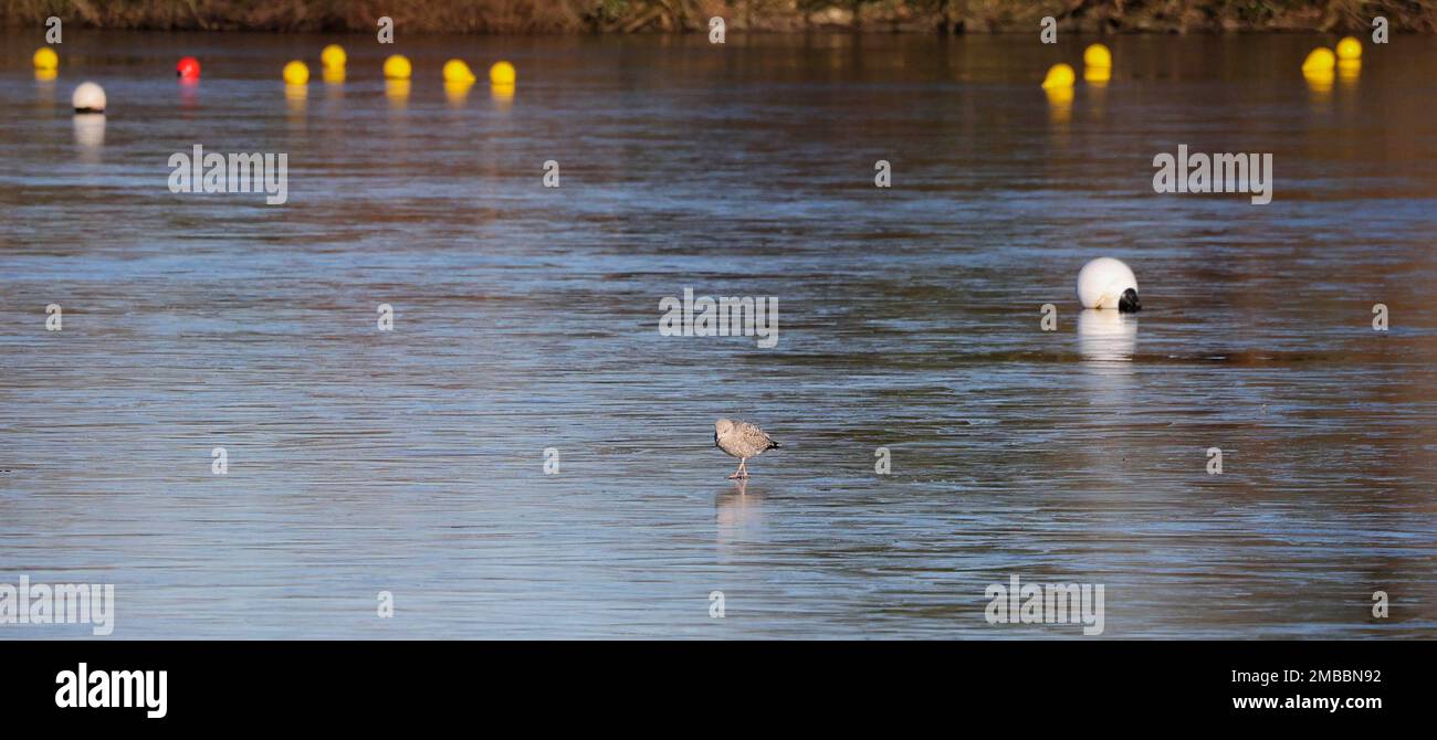 Winter at craigavon hi-res stock photography and images - Alamy