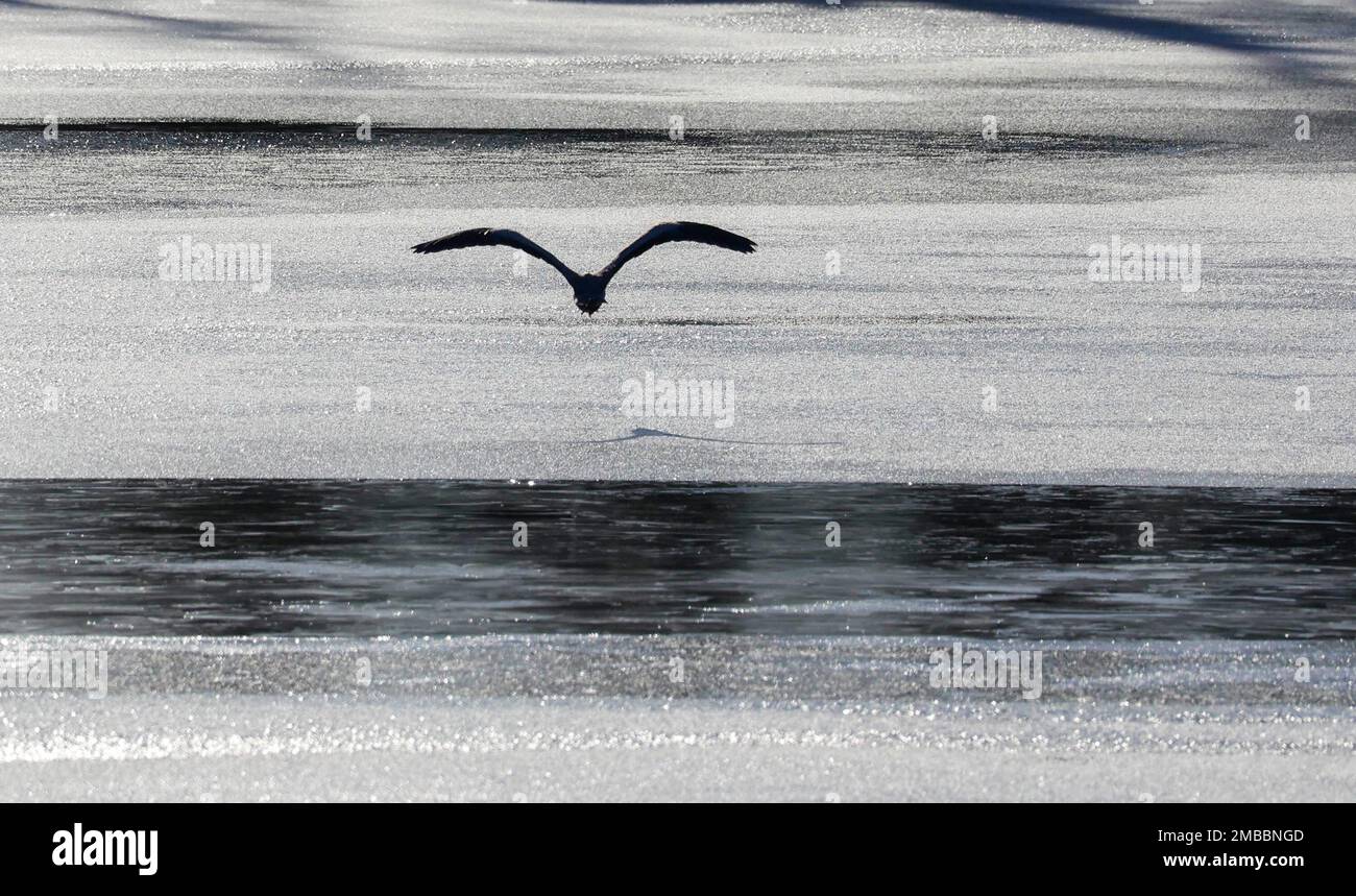 Winter 2023 nordirland -Fotos und -Bildmaterial in hoher Auflösung – Alamy