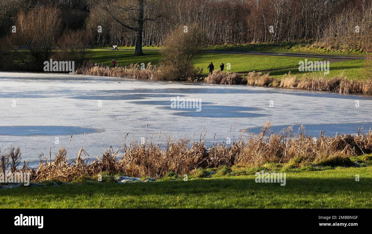 Craigavon Lakes, Craigavon, County Armagh, Northern Ireland, UK. 20 Jan ...