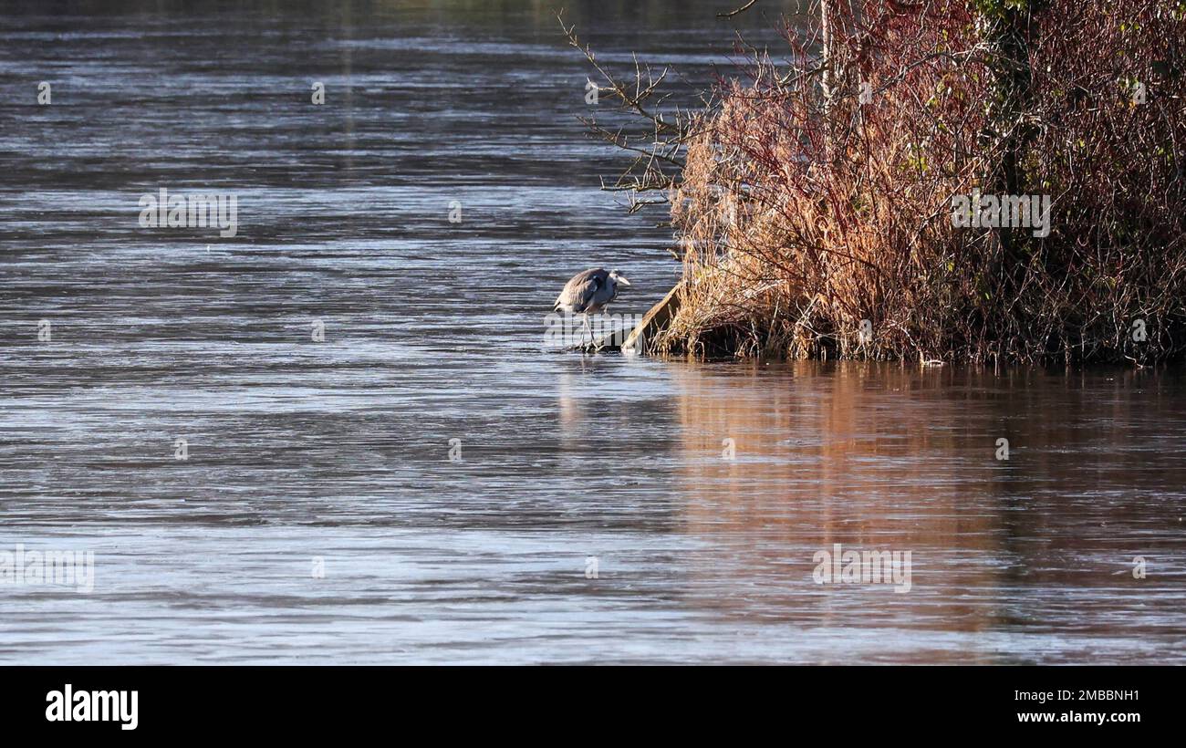 Craigavon winter hi-res stock photography and images - Alamy